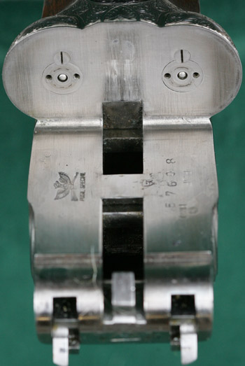 Gamba Model S